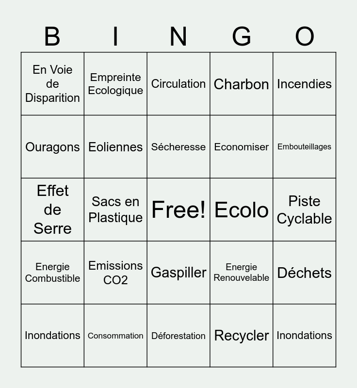 ENVIRONNEMENT Bingo Card