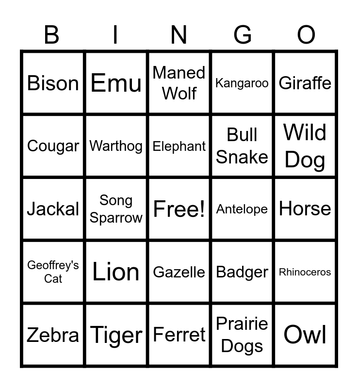 Grasslands Bingo Card