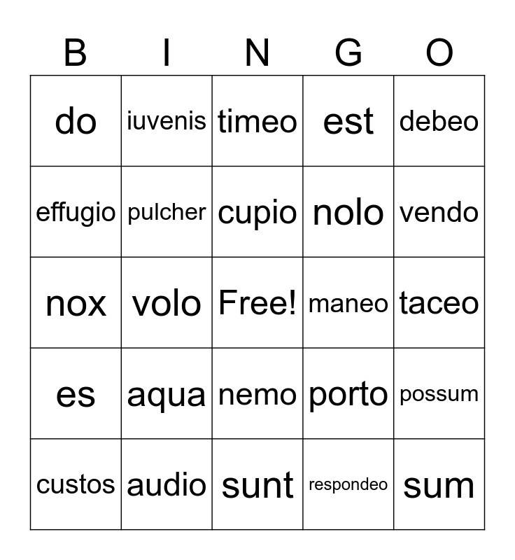 Suburani ch 5 vocabulary Bingo Card