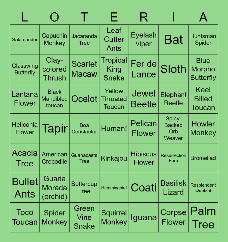COSTA RICA FLORA & FAUNA Bingo Card