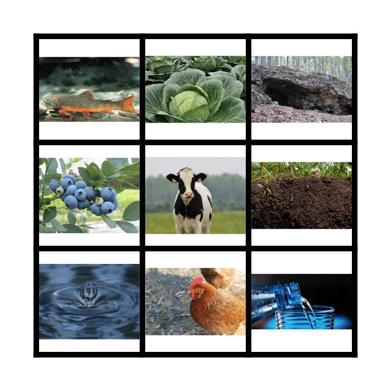 Natural Resources Bingo Card