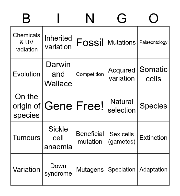Variation and Evolution Bingo Card