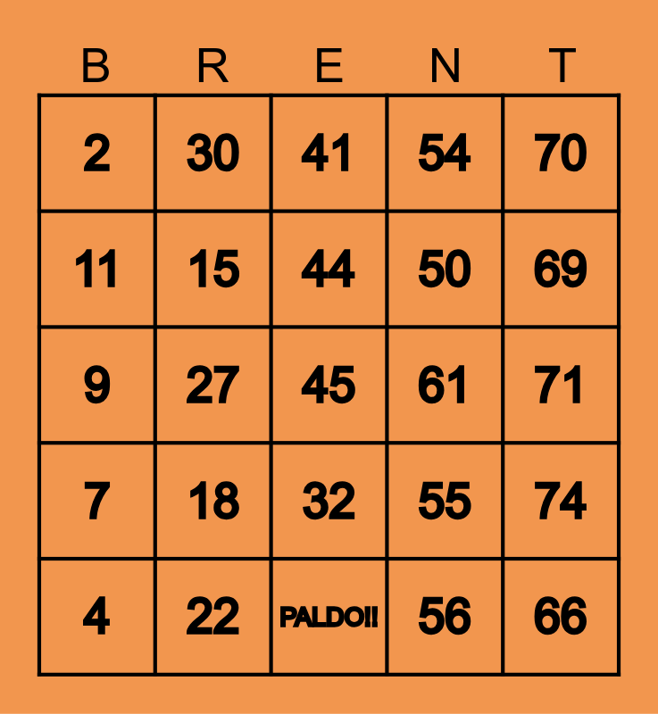 PALDO CARD Bingo Card