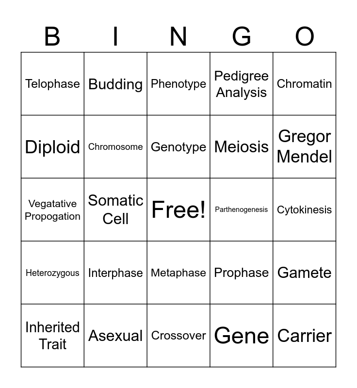 Genetics Bingo Card