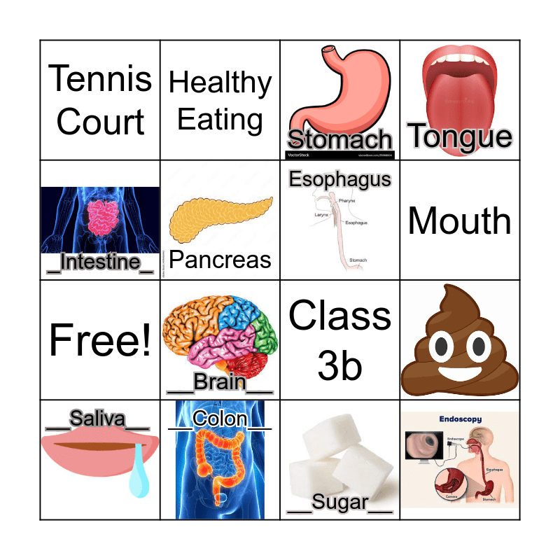Digestion Bingo! Bingo Card