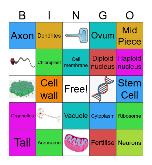 Specialised Cells Bingo Card