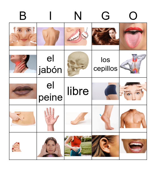 Las partes del cuerpo Bingo Card