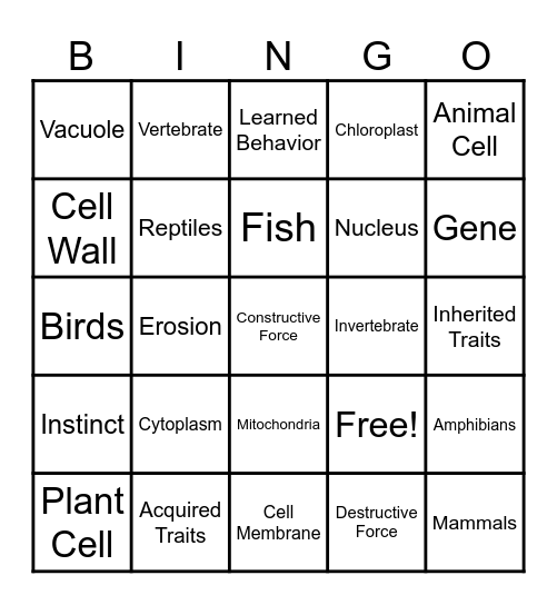 Plant/Animal Cells Bingo Card