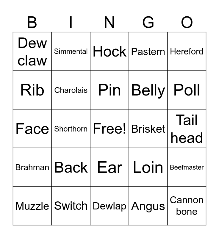 Beef Bingo Card