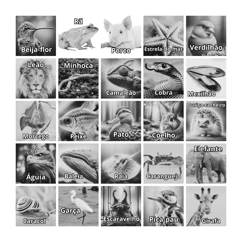 Bingo dos animais Bingo Card