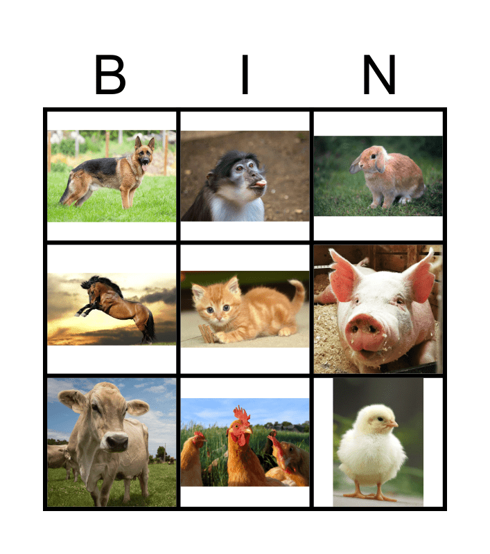 Spanish Animals! Bingo Card