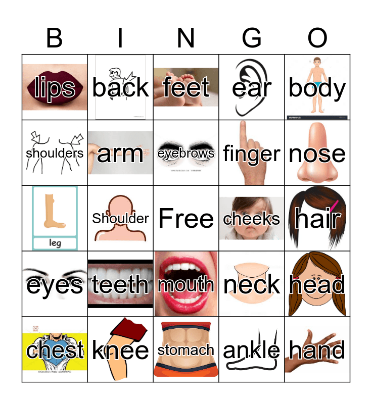 Partes Del Cuerpo Bingo Card