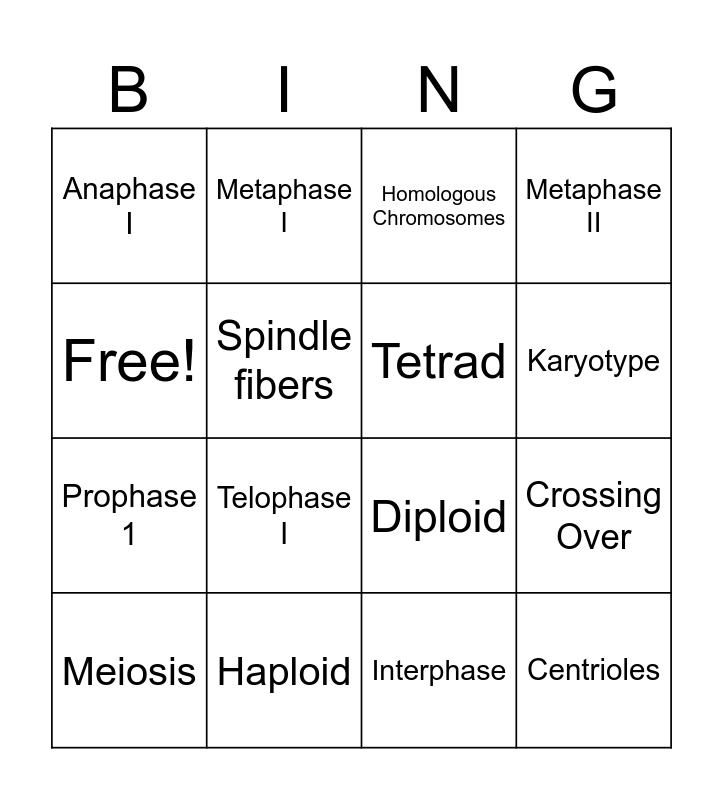 Meiosis Bingo Card