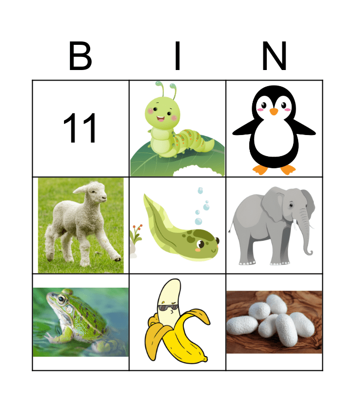 LIFE CYCLE BINGO! Bingo Card