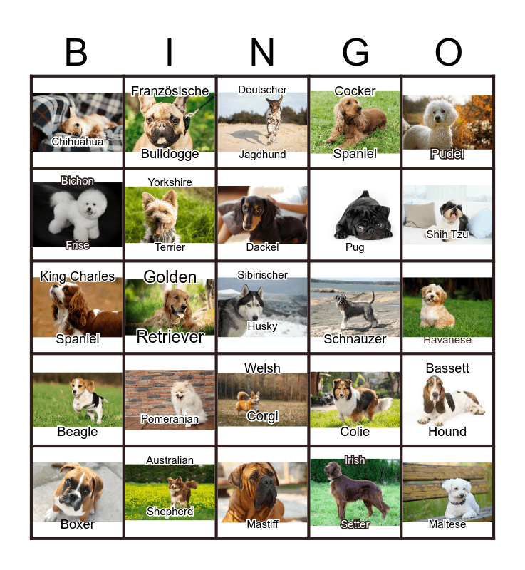 Dogs Bingo Card