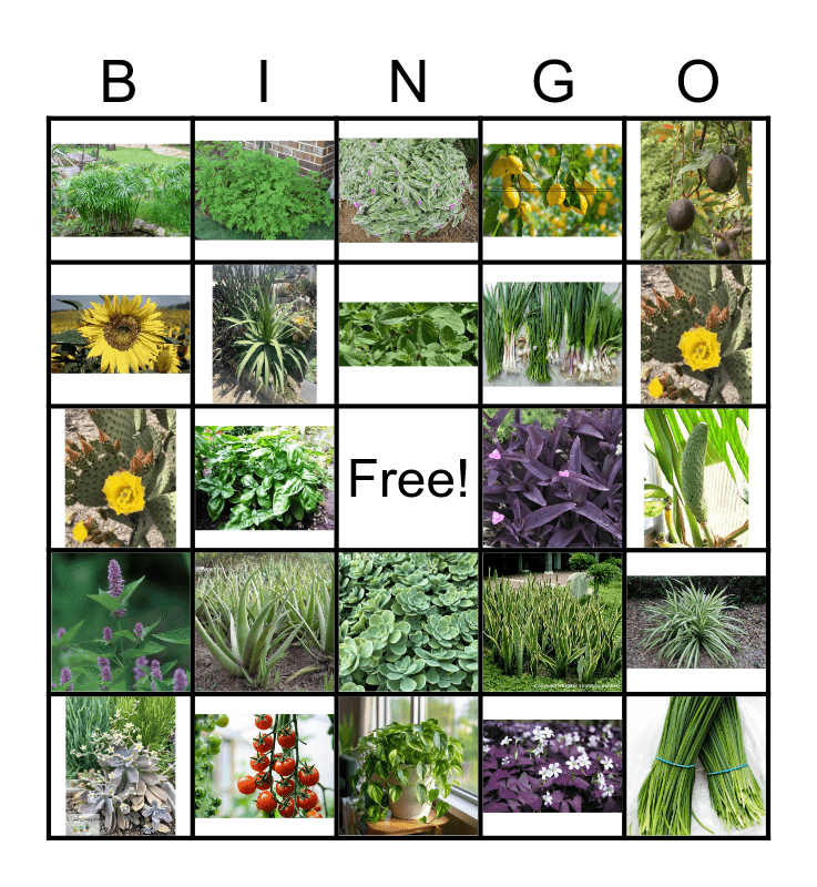 Greenhouse Bingo Card