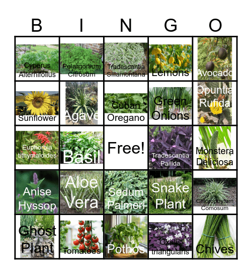 Greenhouse Bingo Card