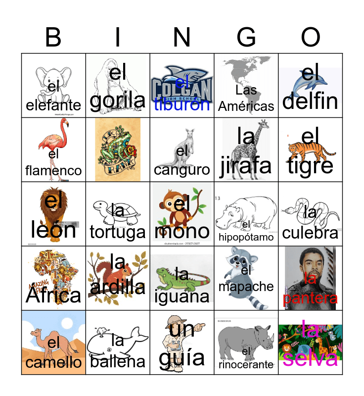 CCHS--SPANISH 2, UNIT 5 LA SELVA Bingo Card