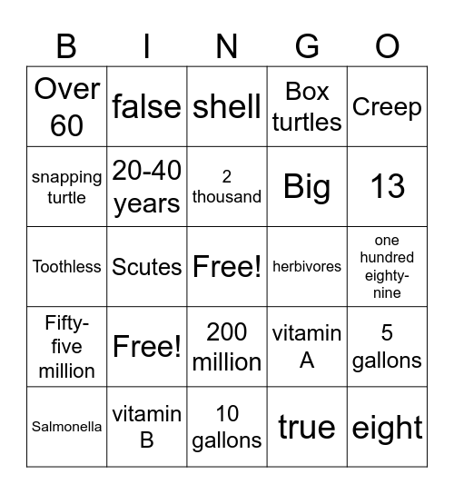 Exotic Pet care 101 Bingo Card