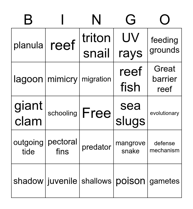 Reef Life Documentary Bingo Card