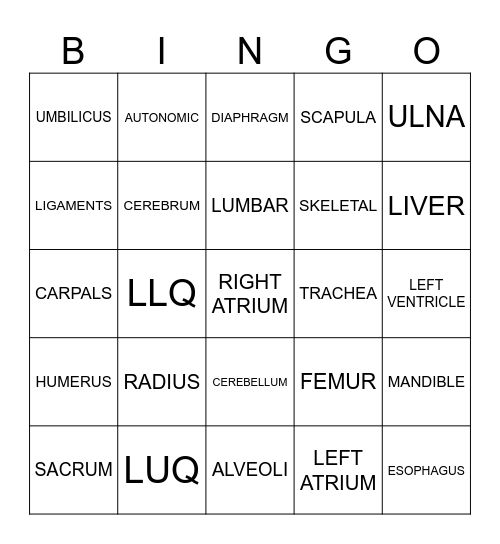 ANATOMY & PHYSIOLOGY BINGO! Bingo Card
