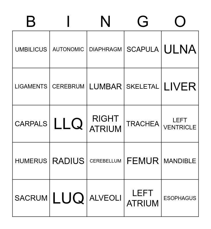 ANATOMY & PHYSIOLOGY BINGO! Bingo Card