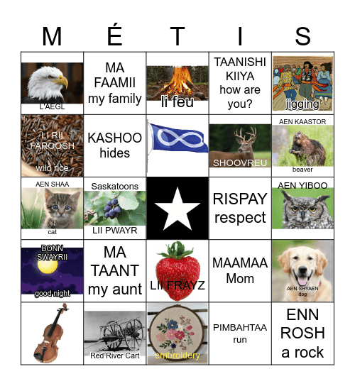 Metis Symbols Bingo Card