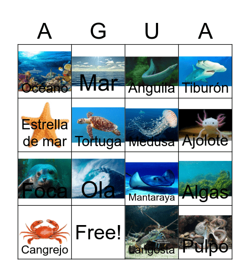 Vocabulario del Oceano Bingo Card