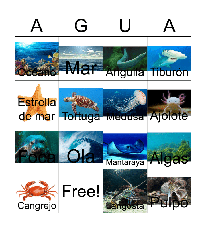 Vocabulario del Oceano Bingo Card
