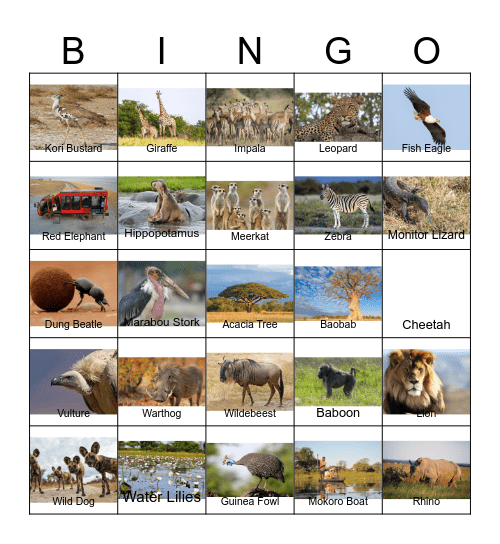 Safari Bingo Card