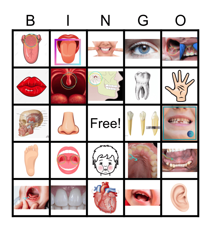 Partes de la boca Bingo Card
