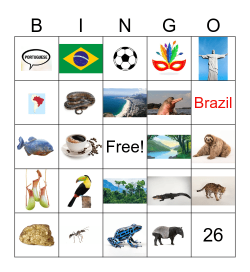 Brazil Bingo Card