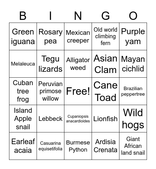 Invasive species in Naples Florida Bingo Card