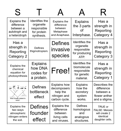 STAAR REVIEW BINGO Card