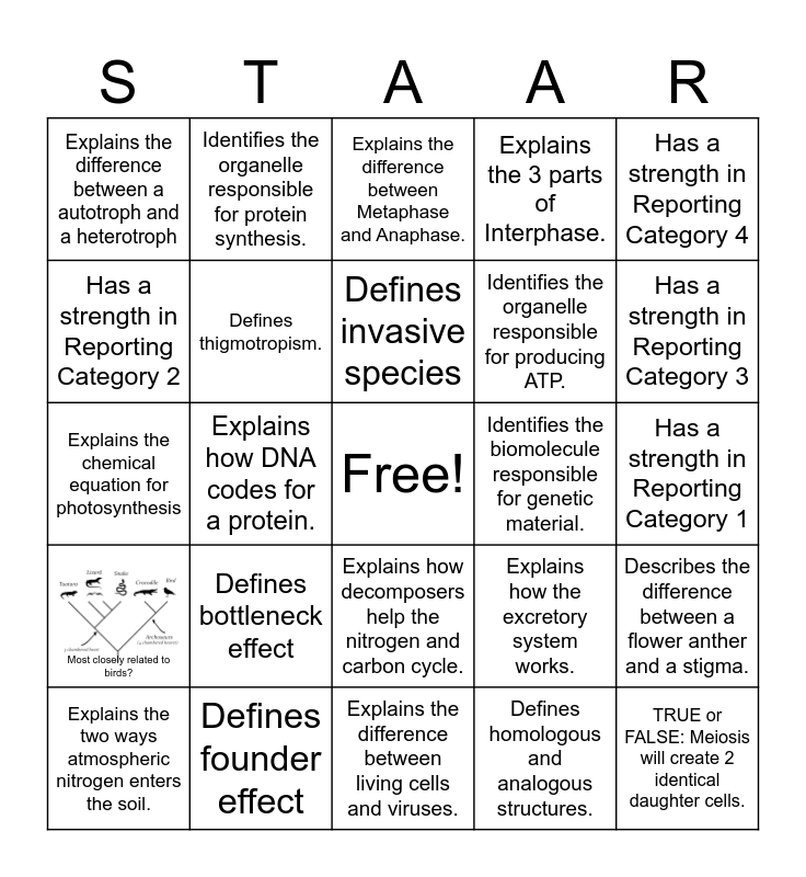 STAAR REVIEW BINGO Card