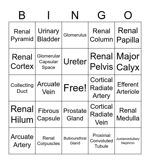 Urinary Bingo Card