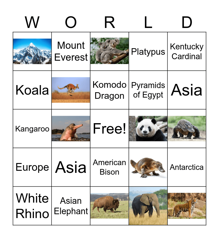 Continents Bingo Card