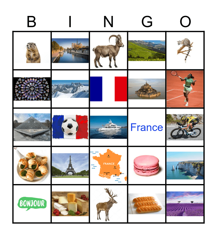 FRANCE Bingo Card