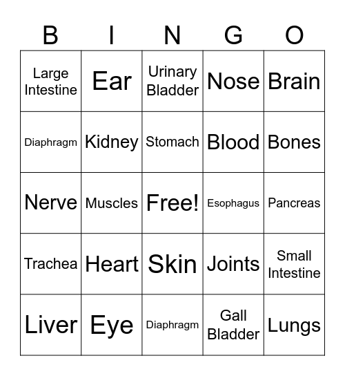 Challenge A Anatomy Bingo Card
