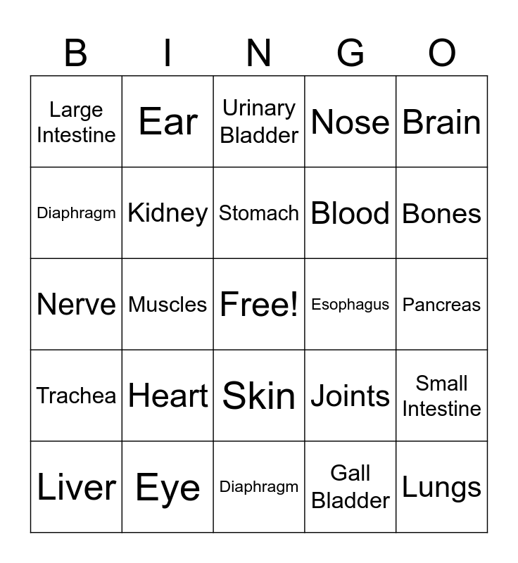 Challenge A Anatomy Bingo Card