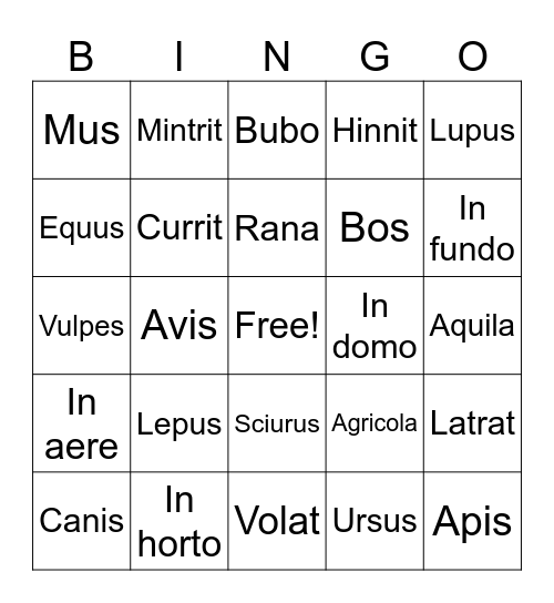 Latin Bingo Card