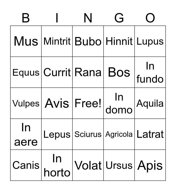 Latin Bingo Card