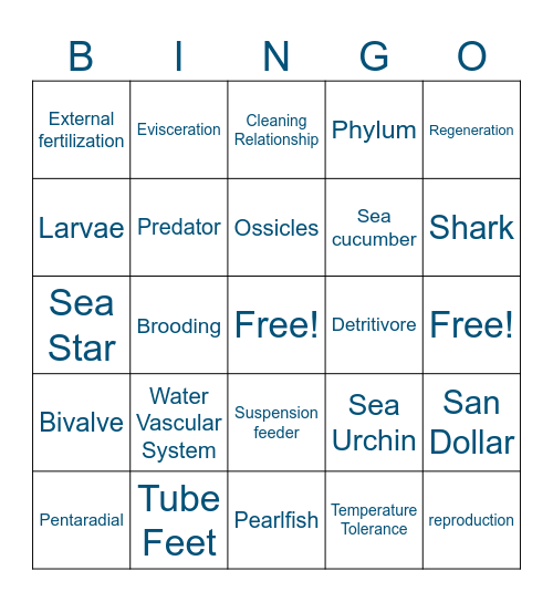 Echinoderm Bingo Card