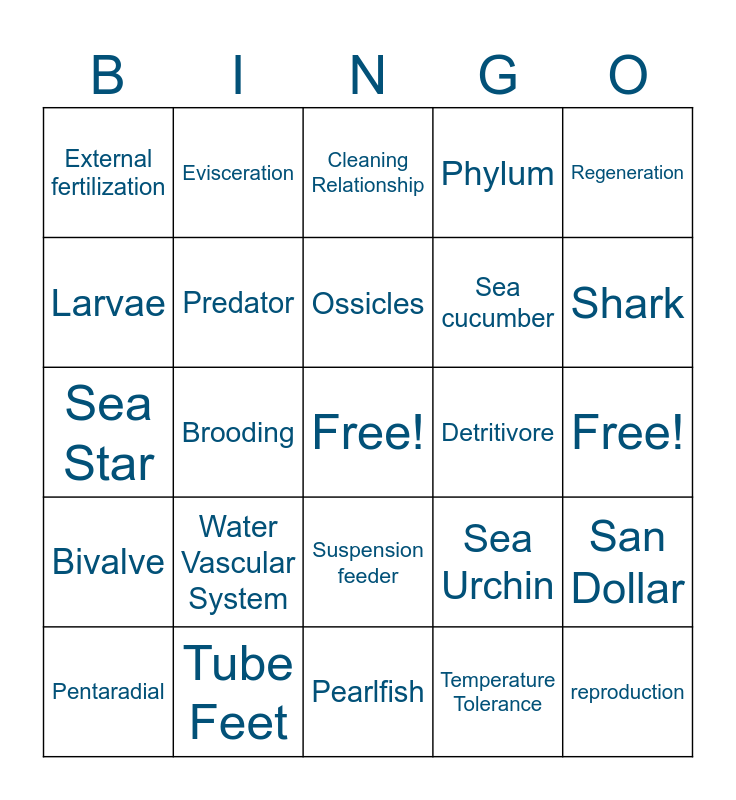 Echinoderm Bingo Card