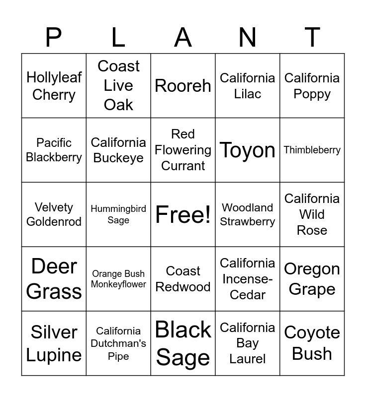 California Native Plants! Bingo Card