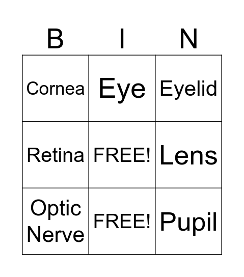 Eye Anatomy Bingo Card