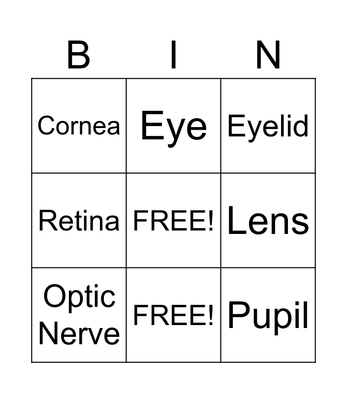 Eye Anatomy Bingo Card