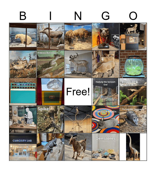 Schiele Museum Bingo Card