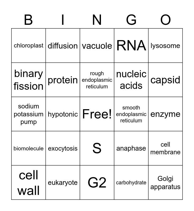 Biology Bingo Card