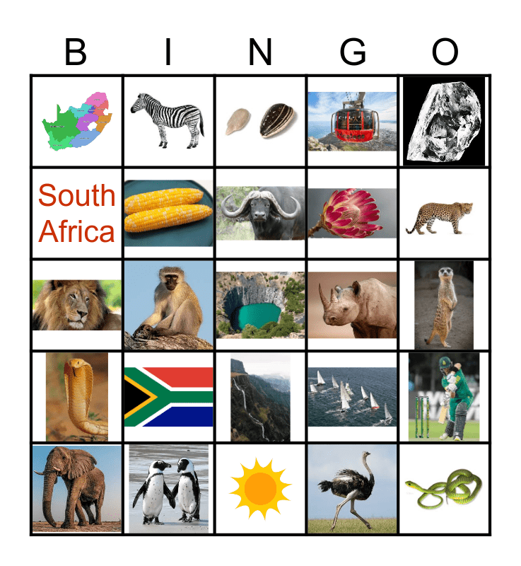 South Africa Bingo Card